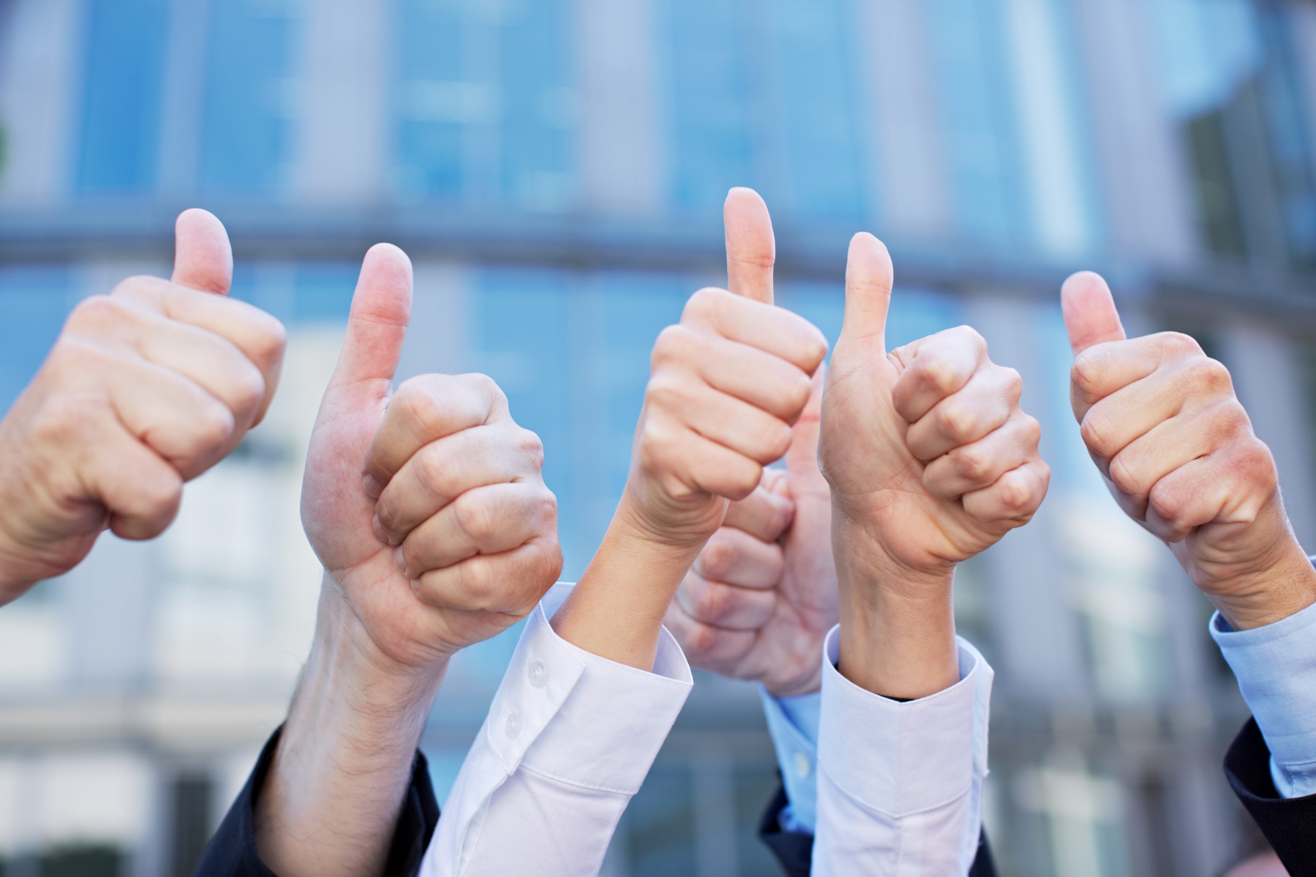 Referenties Suited People - Suited Interimmers - Suited Permanents